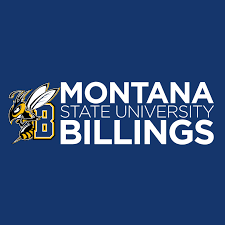 Associate Dean of Student Engagement Billings 136434
