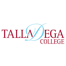 Assistant Professor in Data Science Talladega 129316