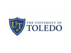 Assistant Professor, Adult Psychiatrist - UT Toledo - 151947
